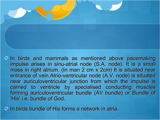 Neurogenic and myogenic hearts | PPT