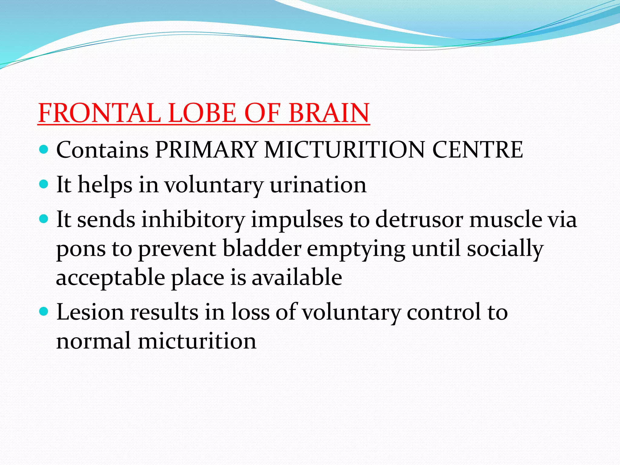 NEUROGENIC BLADDER-1.pptx