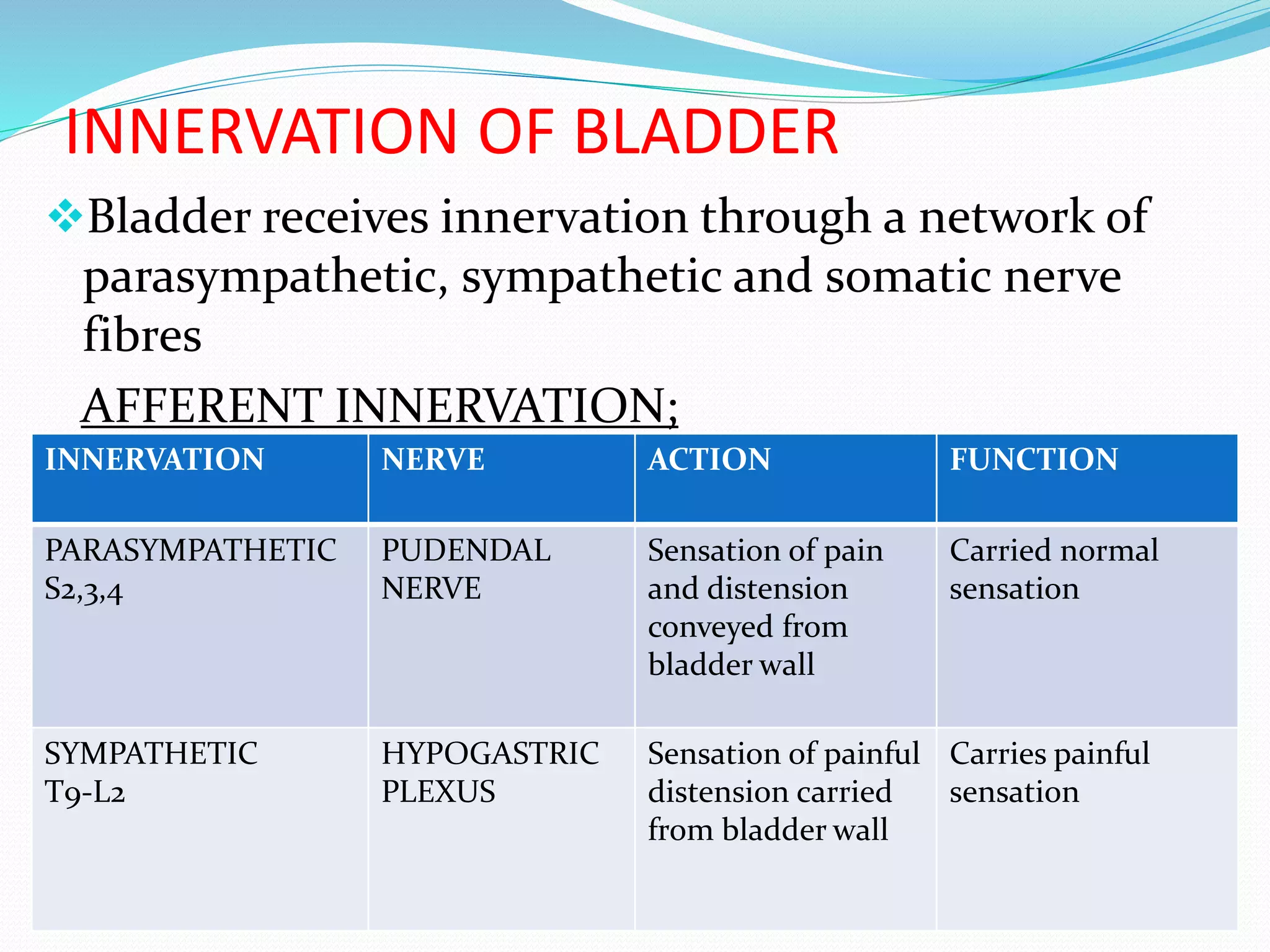 NEUROGENIC BLADDER-1.pptx