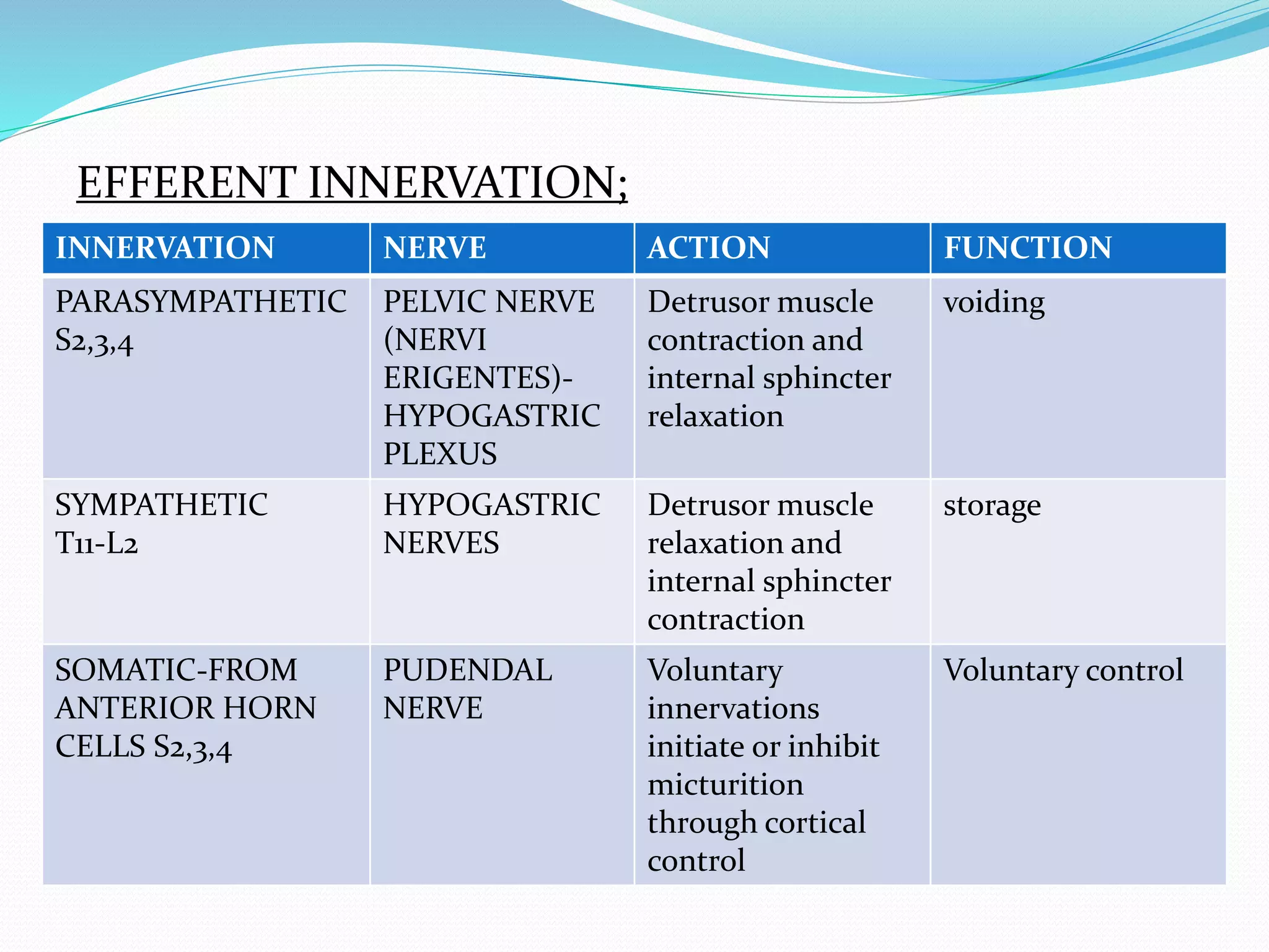 NEUROGENIC BLADDER-1.pptx