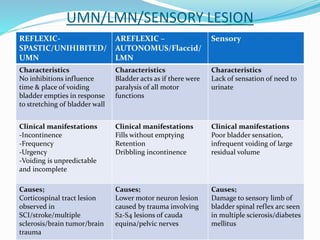 NEUROGENIC BLADDER-1.pptx