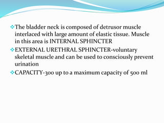 NEUROGENIC BLADDER-1.pptx