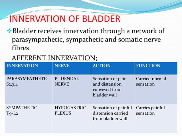 Neurogenic Bladder 1 Pptx