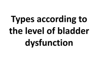 Neurogenicbladder 140711115804-phpapp01 | PPT