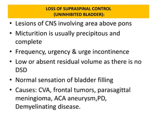 Neurogenicbladder 140711115804-phpapp01 | PPT
