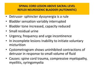 Neurogenicbladder 140711115804-phpapp01 | PPT
