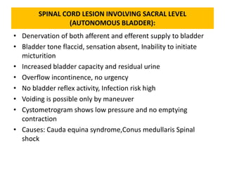 Neurogenicbladder 140711115804-phpapp01 | PPT