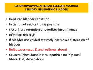 Neurogenicbladder 140711115804-phpapp01 | PPTX
