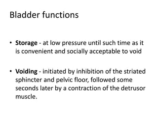 Neurogenicbladder 140711115804-phpapp01 | PPTX