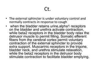 Neurogenic bladder | PPTX