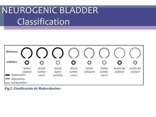 Neurogenic bladder - Cirugía II