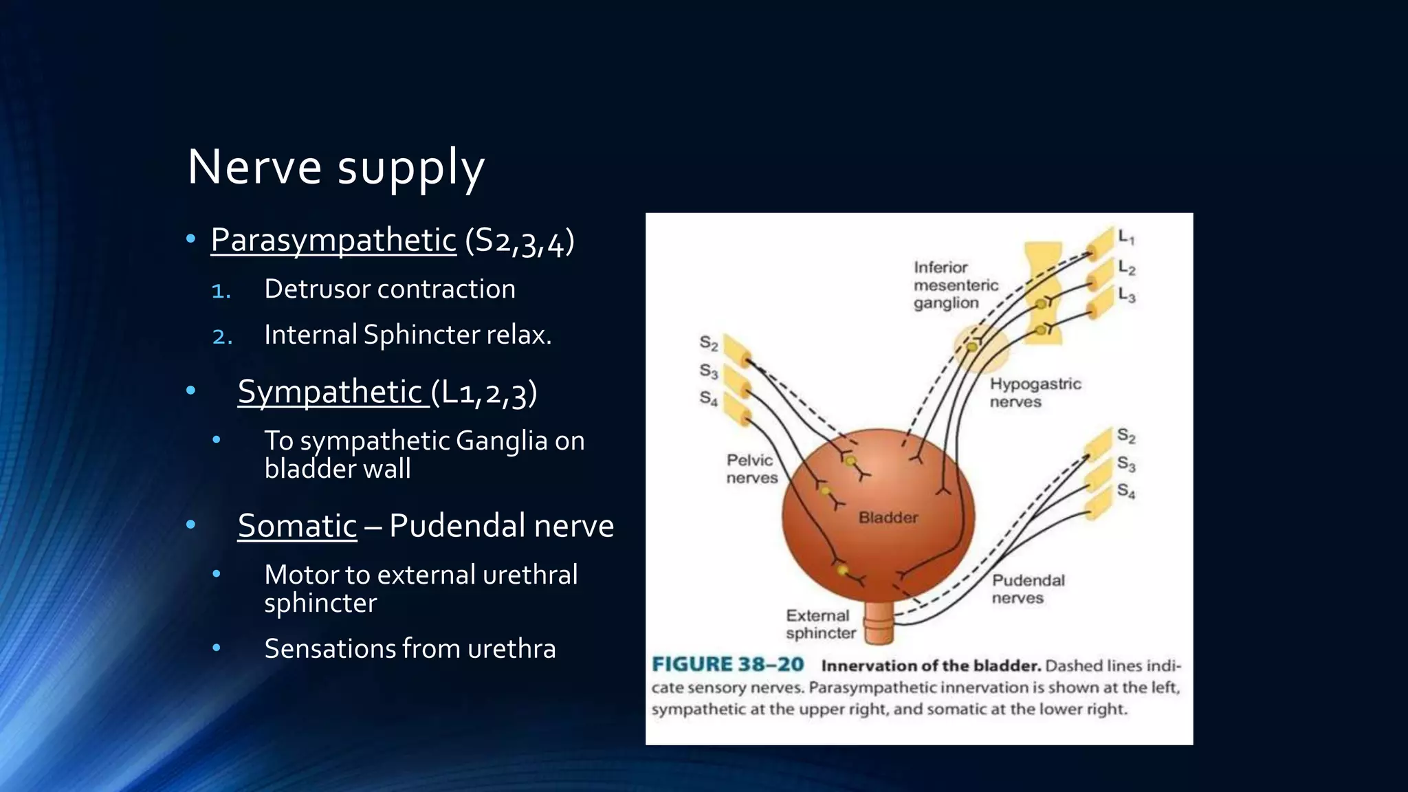 Neurogenic bladder | PPTX