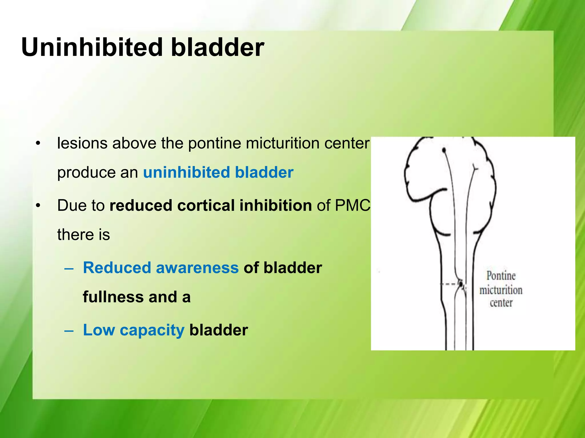 Neurogenic bladder | PPTX
