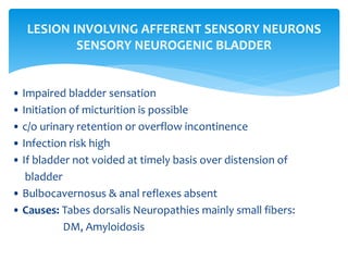 Neurogenic bladder | PPTX