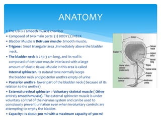 Neurogenic bladder | PPTX