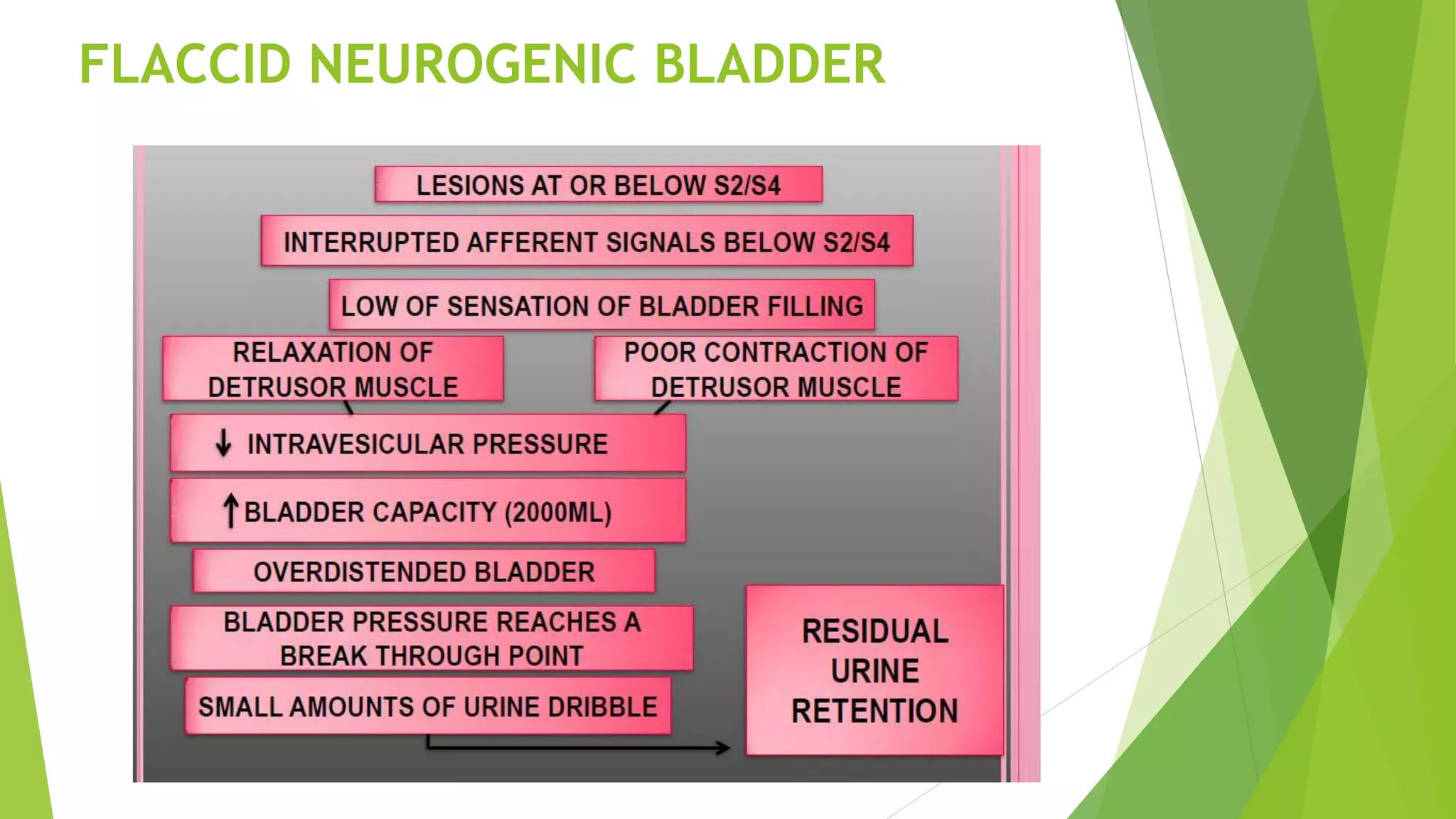 Neurogenic bladder | PPTX