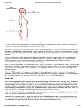 Neurogenic bladder | PDF | Brain and Nervous System Disorders ...