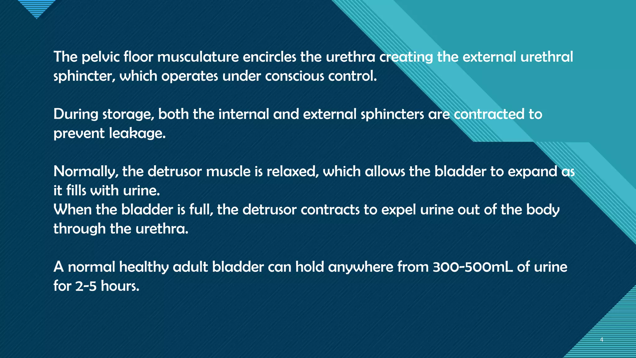 Neurogenic Bladder.pdf