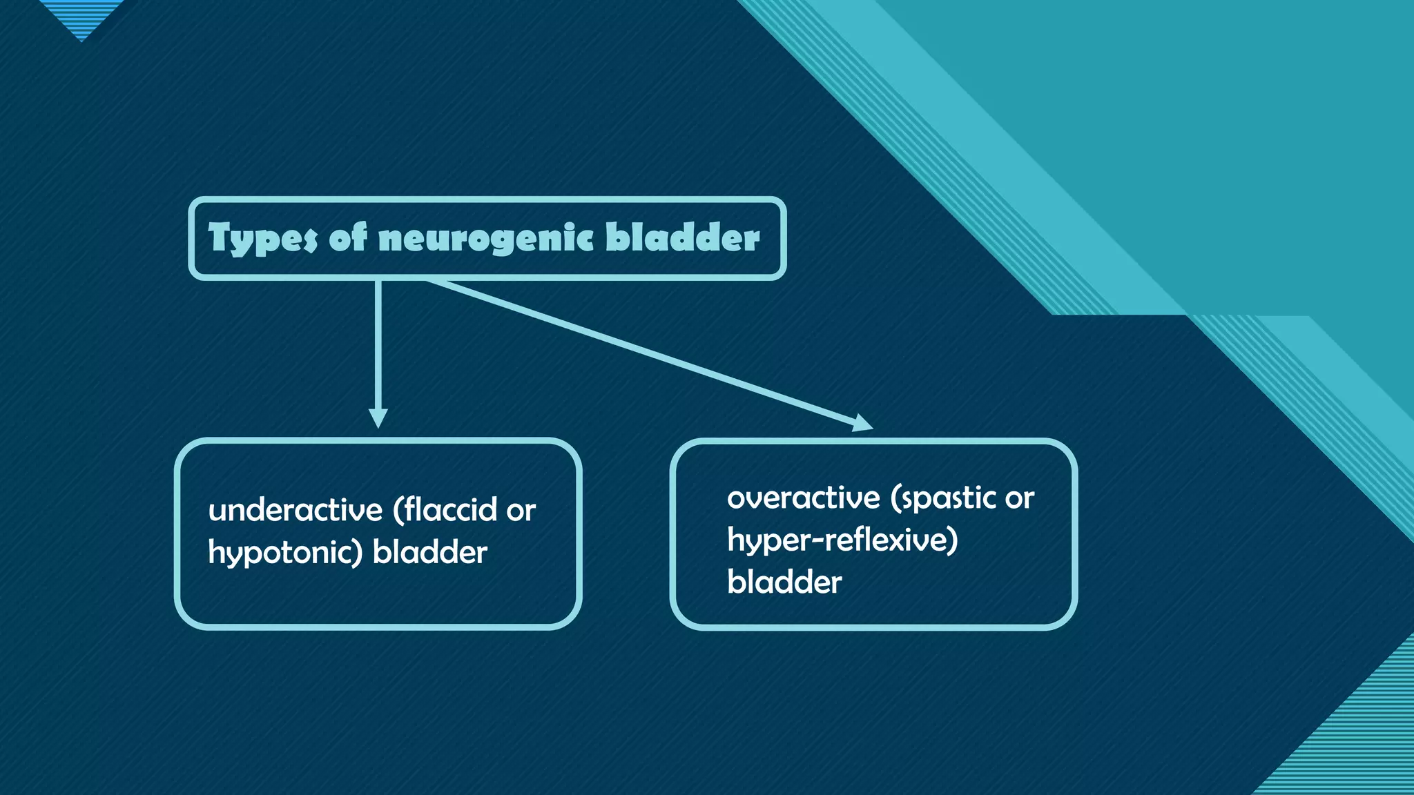 Neurogenic Bladder.pdf