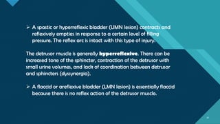 Neurogenic Bladder.pdf