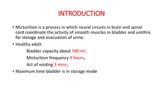 NEUROGENIC BLADDER.pptx
