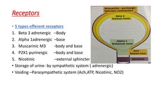 NEUROGENIC BLADDER.pptx