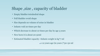 Neurogenic bladder most common in children and neonate.pptx