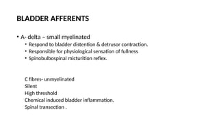 Neurogenic bladder causes, management.pptx