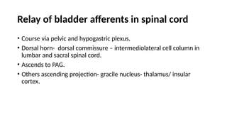 Neurogenic bladder causes, management.pptx