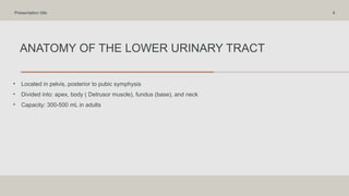 Neurogenic bladder anatomy and pathophysiology.pptx