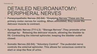 Neurogenic bladder anatomy and pathophysiology.pptx