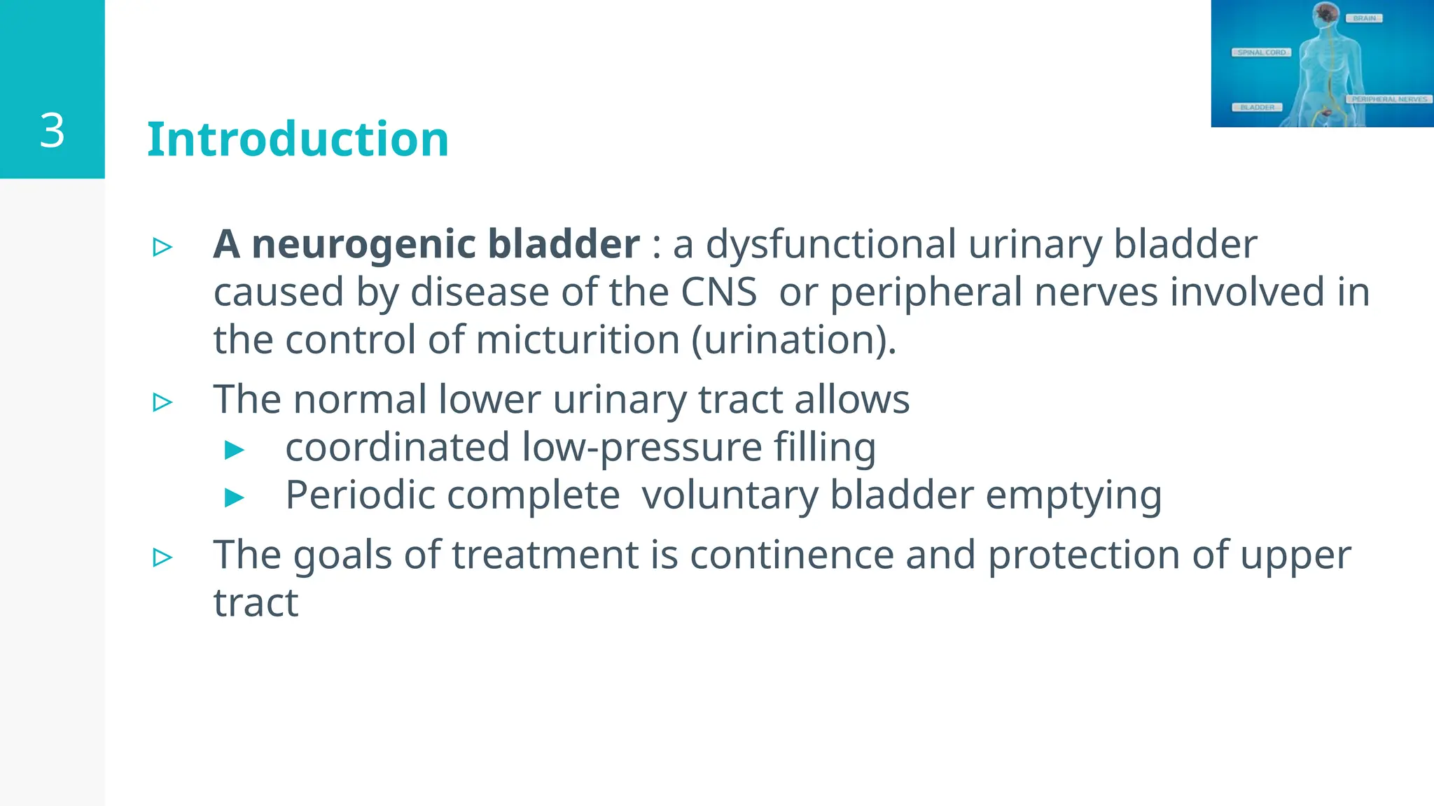 Neurogenic Bladder, introduction and summary of NGB in paediatric ...
