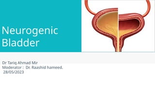 Neurogenic Bladder, introduction and summary of NGB in paediatric ...