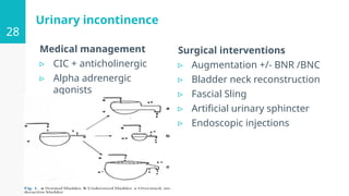 Neurogenic Bladder, introduction and summary of NGB in paediatric ...