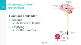 Neurogenic Bladder, introduction and summary of NGB in paediatric ...