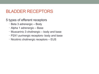 Neurogenic Bladder - Neurology of Urinary bladder.pptx