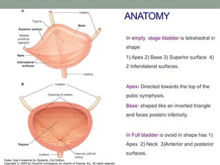 Neurogenic Bladder - Neurology of Urinary bladder.pptx
