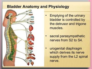 Neurogenic bladder | PPTX