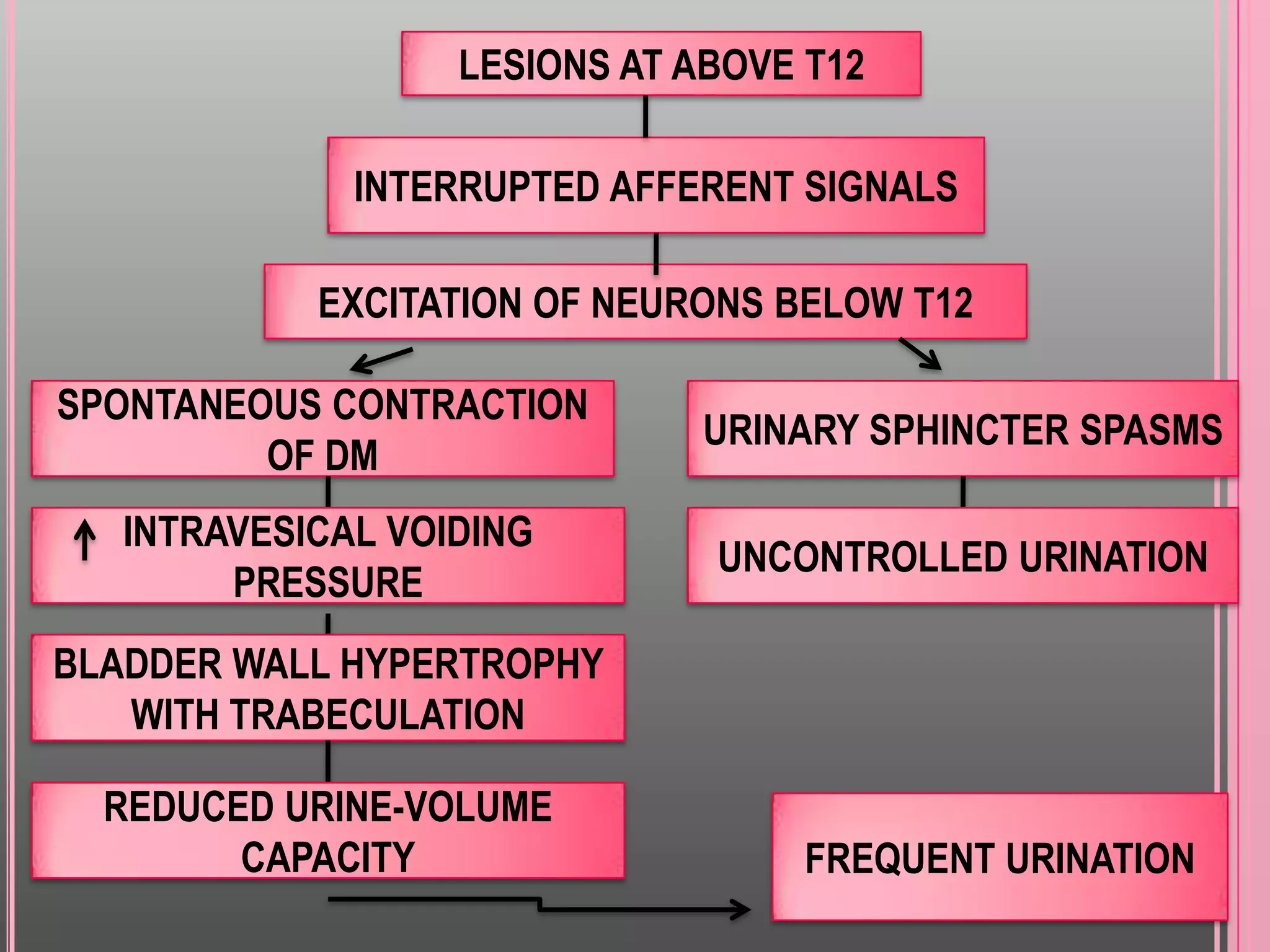 Neurogenic bladder | PPTX