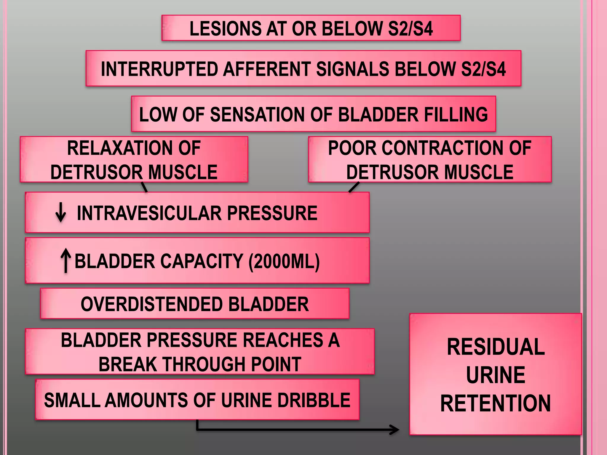 Neurogenic bladder | PPTX