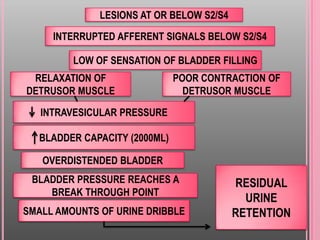Neurogenic bladder | PPTX
