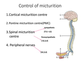 Neurogenic bladder UG & PG | PPTX