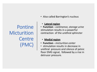 Neurogenic bladder UG & PG | PPTX