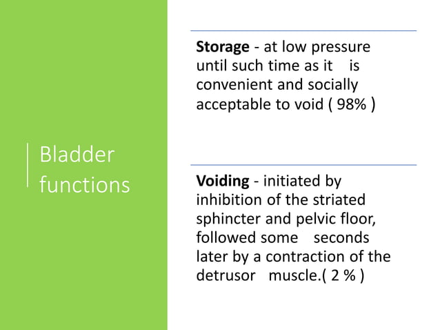 Neurogenic bladder Dr Pankaj rathi DM Neurology Trainee Shri Aurobindo ...