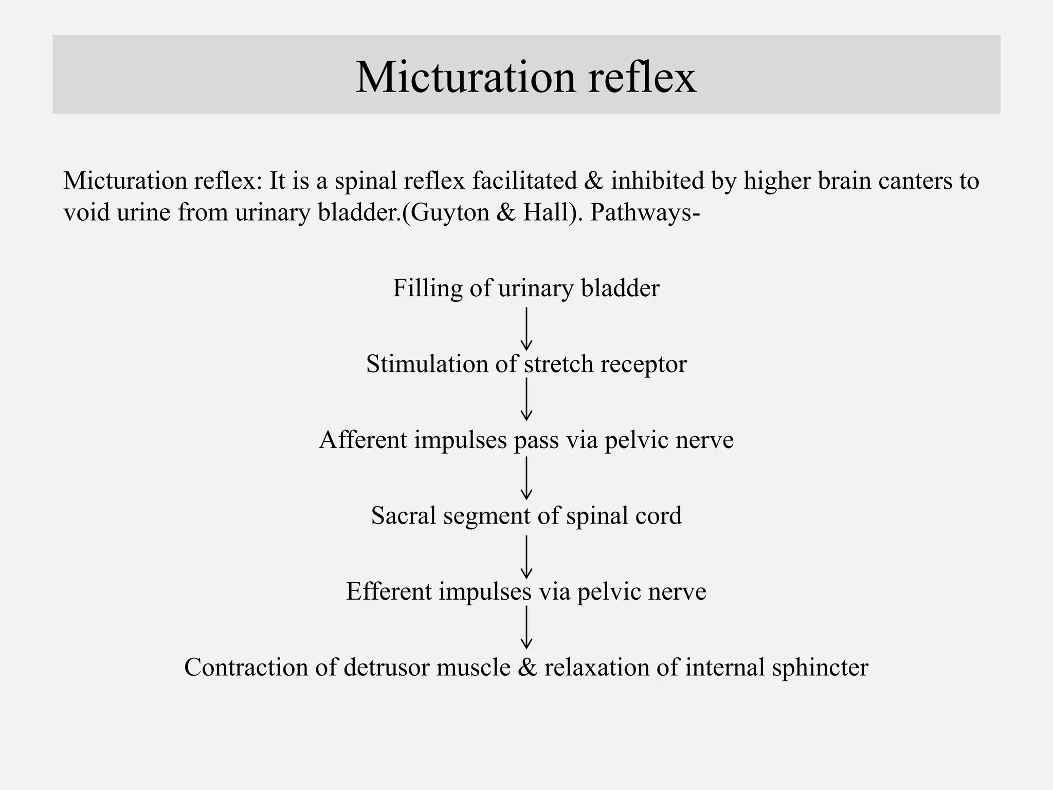 Neurogenic Bladder 1.pptx