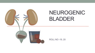 presentation on neurogenic bladder including anatomy | PPT