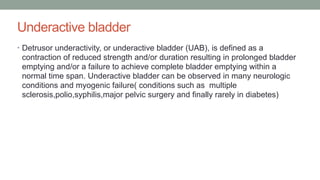 presentation on neurogenic bladder including anatomy | PPT