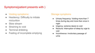 presentation on neurogenic bladder including anatomy | PPT