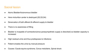 presentation on neurogenic bladder including anatomy | PDF