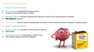 presentation on neurogenic bladder including anatomy | PDF